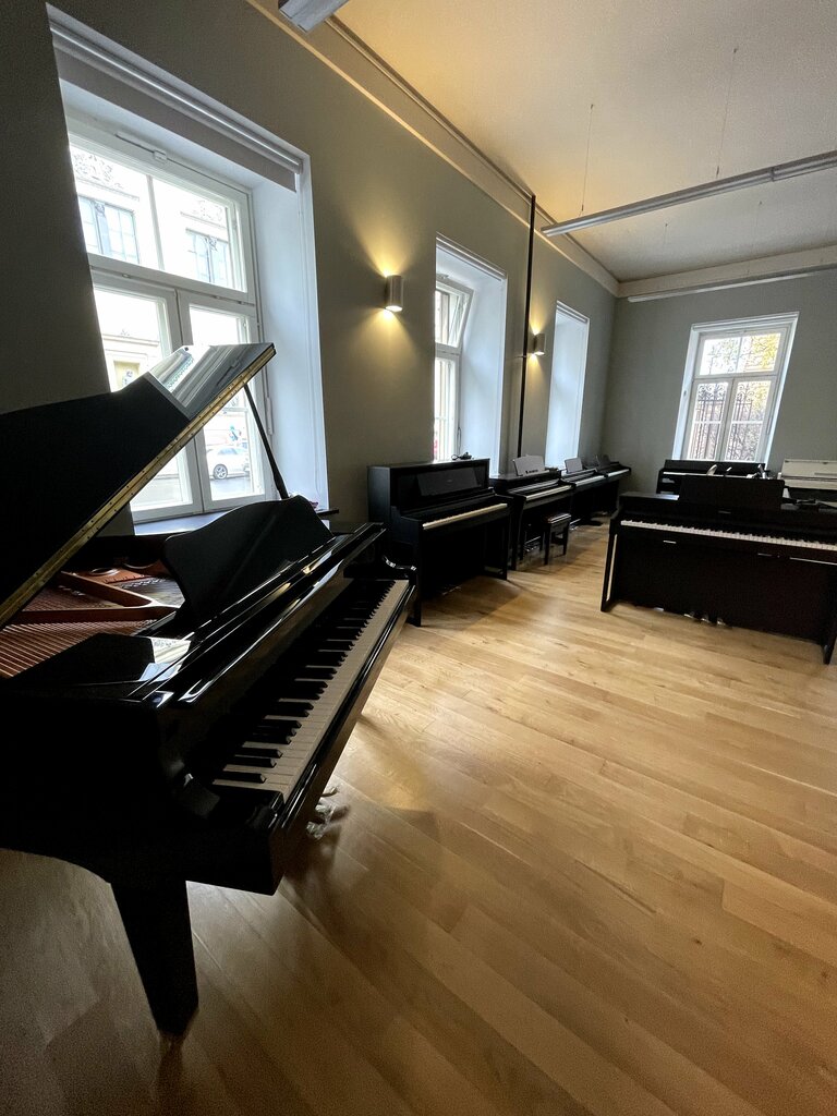 Enstrüman mağazaları Iamlp, Saint‑Petersburg, foto