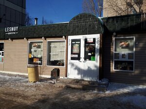 Lesnoy (Samara Region, Tolyatti, 73rd Quarter), fast food  Tolyatti'den (Togliatti'den)