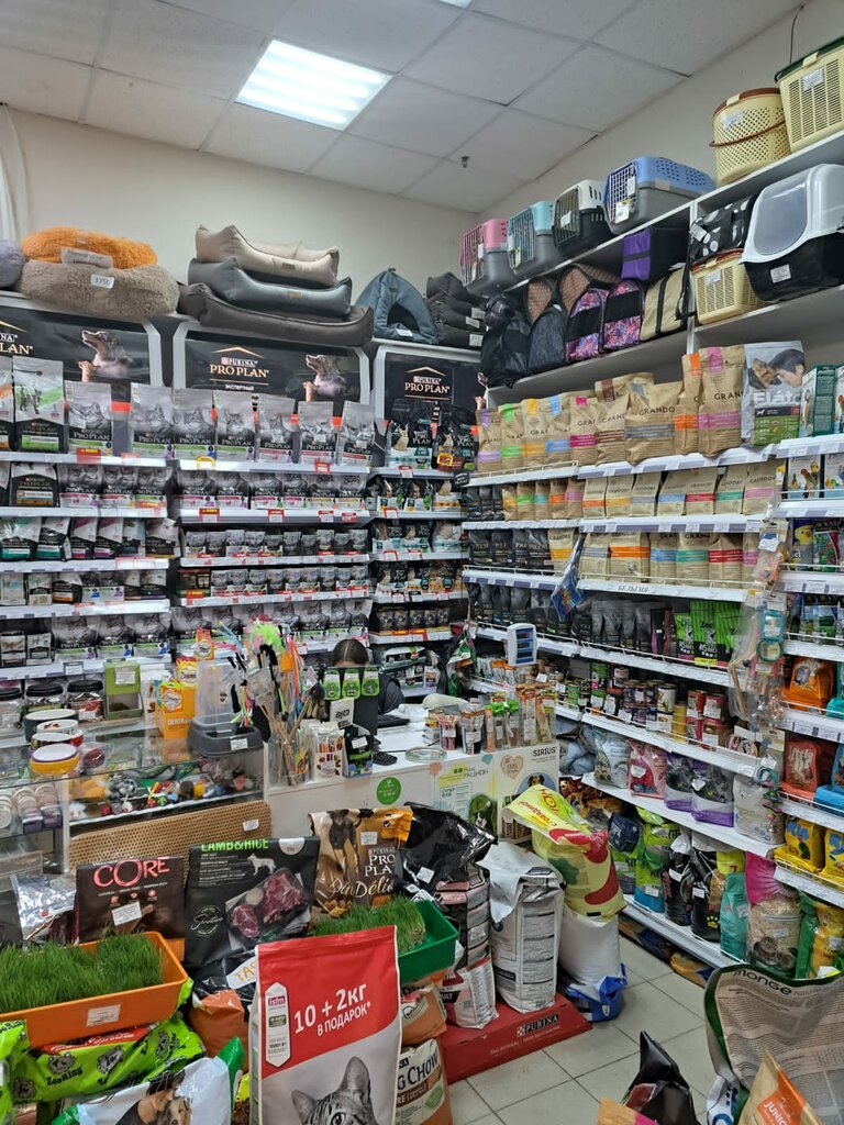 Petshop Zoolavka, Velikiy Novgorod, foto