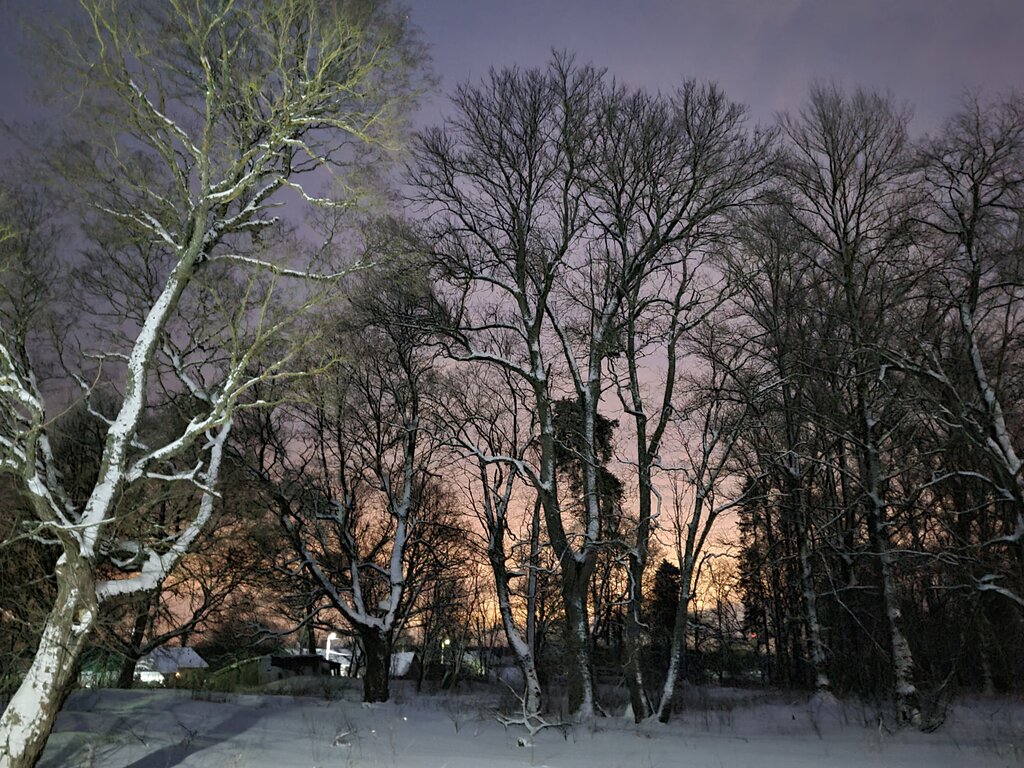 Kültür ve eğlence parkları Парк усадьбы Боровская, Saint‑Petersburg ve Leningradskaya oblastı, foto