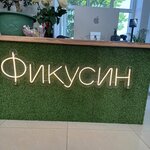 Фикусин (Novosyolov Street No:40А), çiçekçiler  Riazan'dan