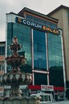 Çoruh Emlak (Bayburt, Bayburt Merkez , Vali Nihat Üçyıldız Cad., 7), emlak ofisi  Bayburt'tan