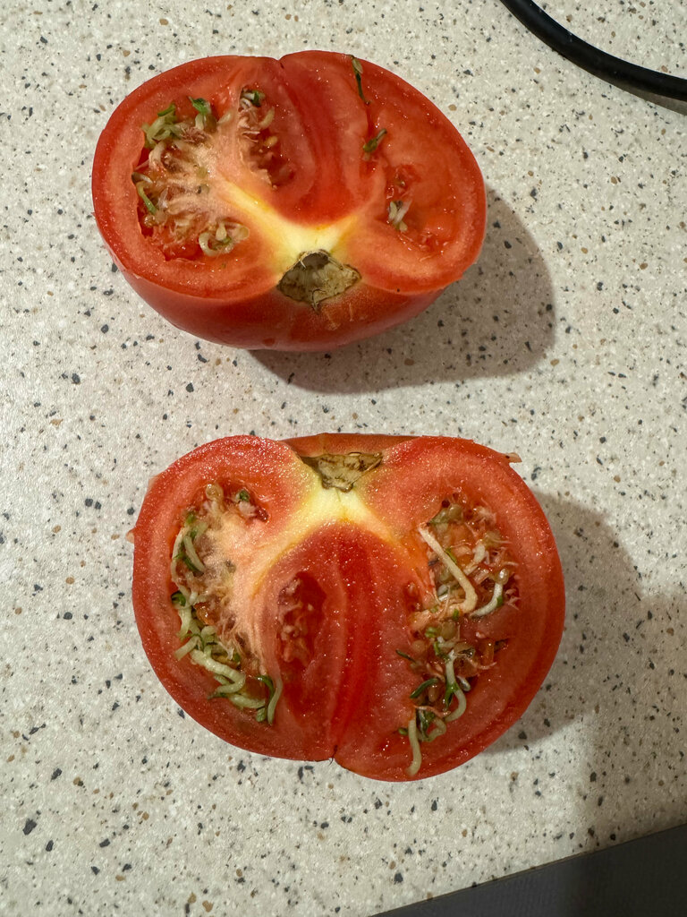 Manavlar Овощи и фрукты, Lahdenpohya, foto