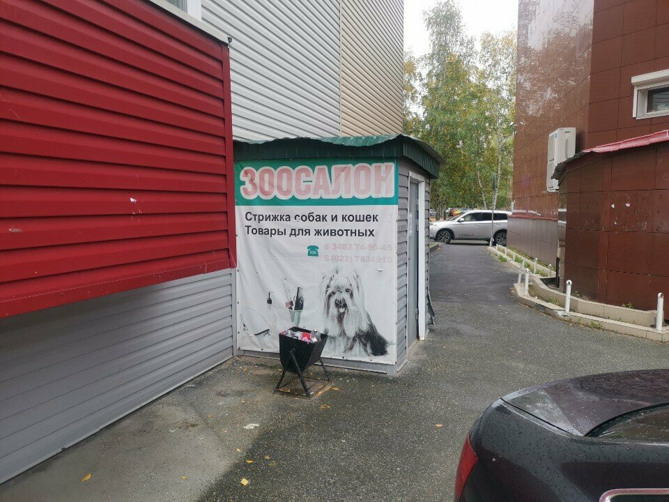 Evcil hayvan kuaförleri Chetyre Lapy Barber shop for animals, Surgut, foto