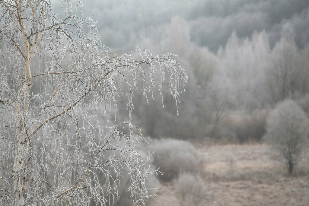 Turistik yerler Центральный останец, Saint‑Petersburg ve Leningradskaya oblastı, foto