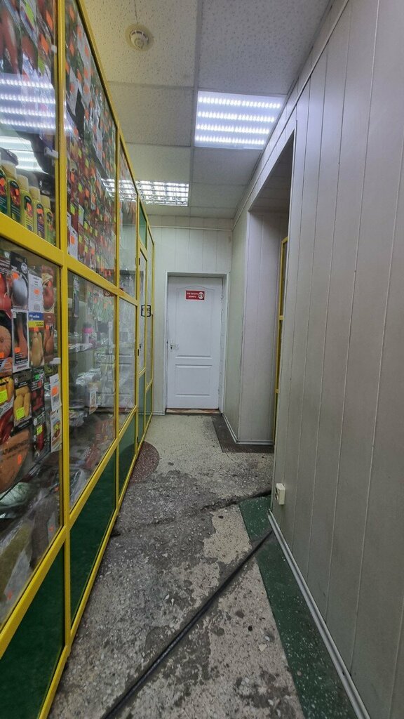 Güzellik salonu Чик Чик, Irkutsk, foto