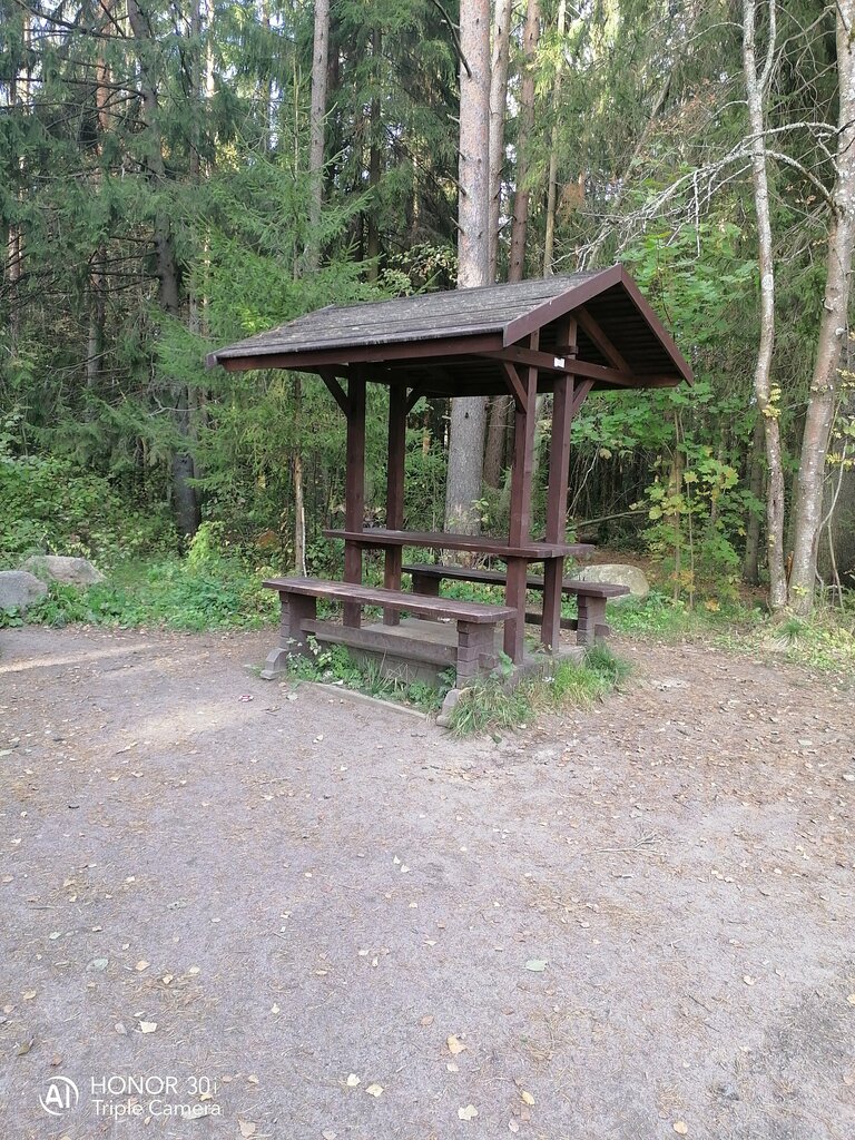 Çardak Gazebo, Saint‑Petersburg, foto