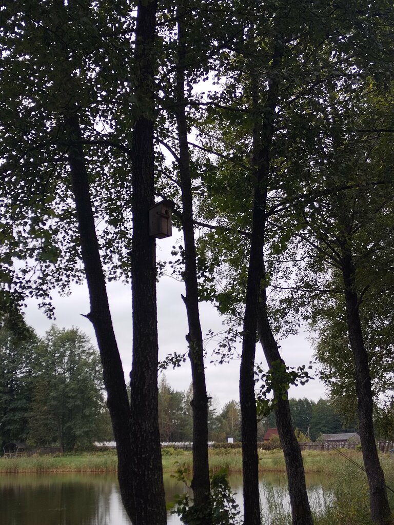 Balık çiftçiliği ve toptancıları Hatava, Minskaya oblastı, foto