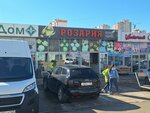 Розария (ulitsa Generala Trosheva No:1/12), çiçekçiler  Krasnodar'dan