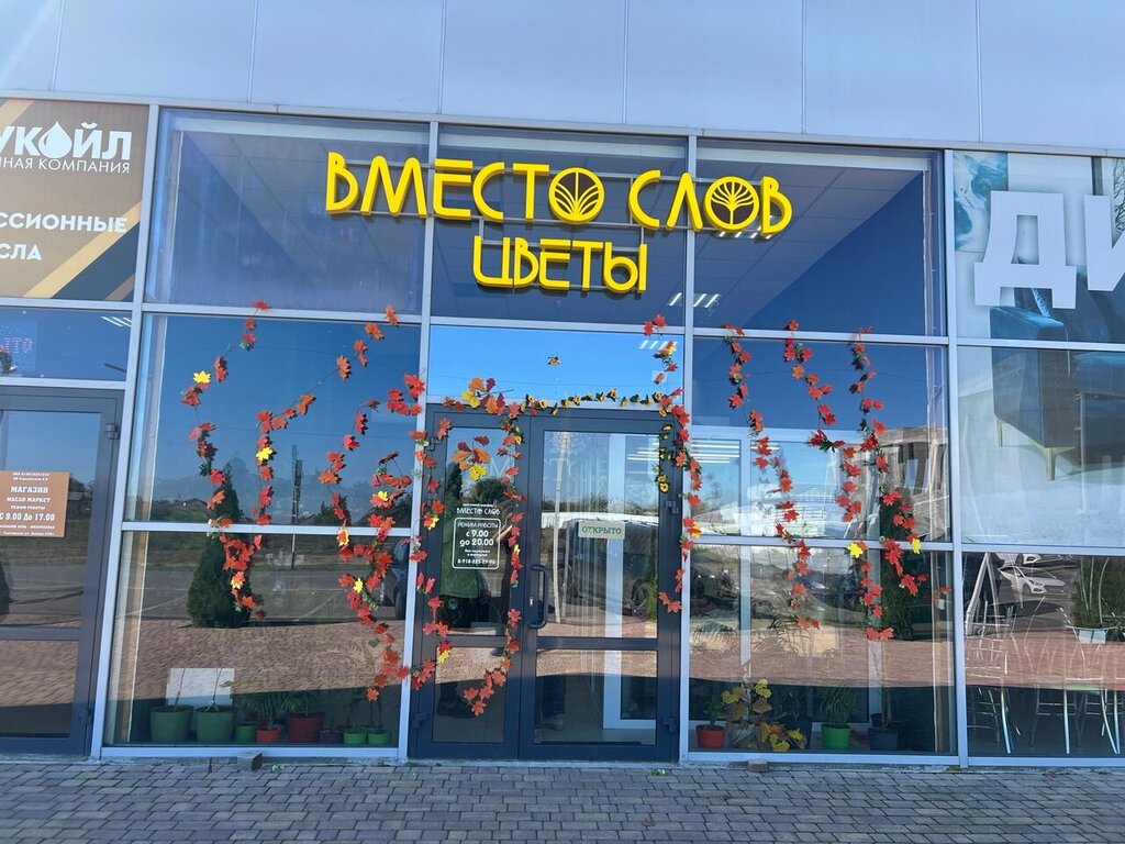 Çiçekçiler Вместо слов цветы, Adıge Cumhuriyeti, foto