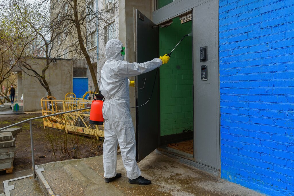 Haşere ilaçlama firmaları The Karbofosov brothers, Moskova, foto