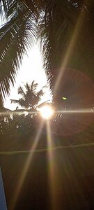 Мечта Арамболь кафе-кинотеатр (Goa, North Goa County, Pernem Subdistrict, Town of Arambol), kafe  Goa'dan