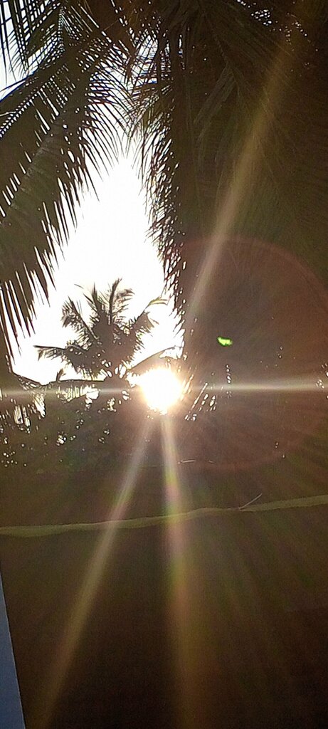 Kafe Мечта Арамболь кафе-кинотеатр, Goa, foto