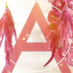 Amaranth (ulitsa Kirova No:24, Lesnoy), çiçekçiler  Lesnoy'dan