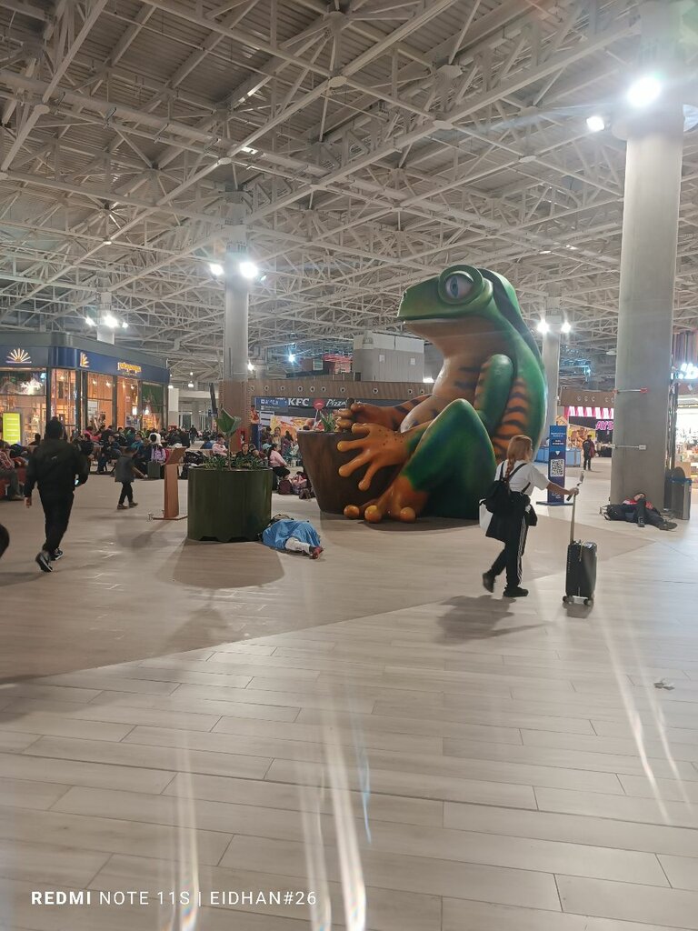 Havaalanları Nuevo Aeropuerto Internacional Jorge Chavez, Lima, foto