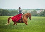 Золотая лошадь (Proletarskaya ulitsa No:167, selo Verkhniy Mamon), at ve binicilik kulüpleri  Voronejskaya oblastından