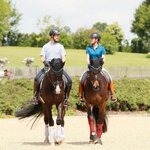 Aec Equestrian (Moscow, Zapadniy Administrative District, Kuntsevo District, Konezavod, VTB Separate Area), at ve binicilik kulüpleri  Moskova'dan