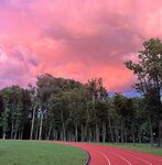 Sports ground (Kaliningrad Region, Guryevsk), spor alanı  Guryevsk'ten