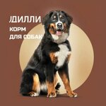 Дилли&Сatland юг (Uralskaya Street No:210/8), petshop  Krasnodar'dan