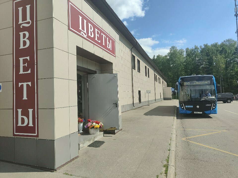 Yapay bitki ve çiçek Цветы, Moskova ve Moskovskaya oblastı, foto