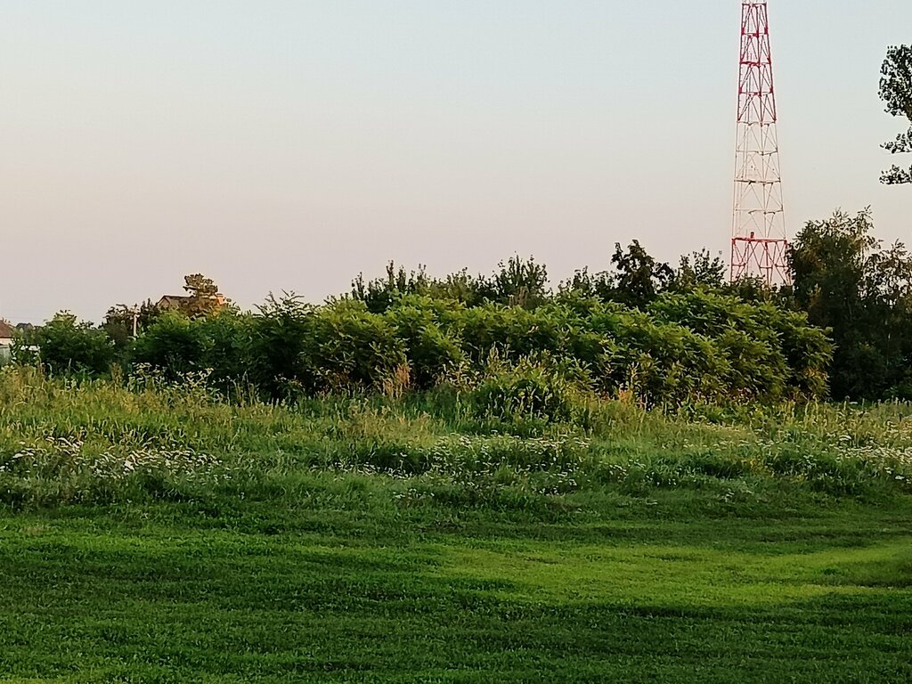 Kültür ocakları МУ ЦКД Шульгинский, Tambovskaya oblastı, foto