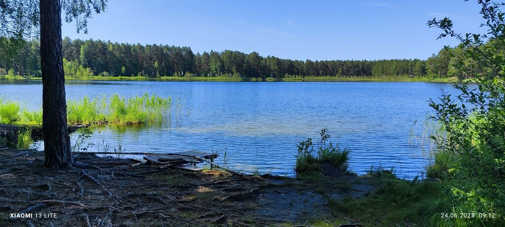 Tatil köyleri Турбаза завода им. Фрунзе, Nijegorodskaya oblastı, foto