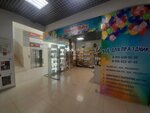 Конфетти (Krasninskoye shosse No:6Д), çocuklar için kutlama organizasyonları  Smolensk'ten