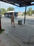 Ополченская улица (Opolchenskaya Street No:61, Volgograd), toplu taşıma durağı  Volgograd'dan