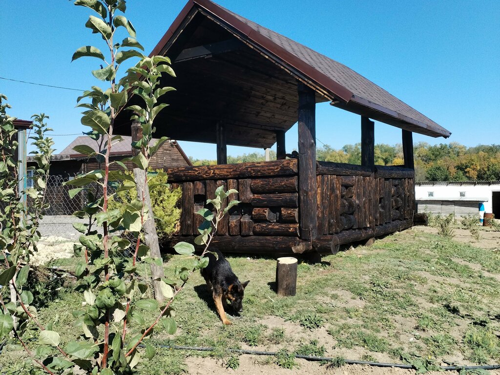 Avcılar ve balıkçılar Рыбалка у Петровича, Rostovskaya oblastı, foto