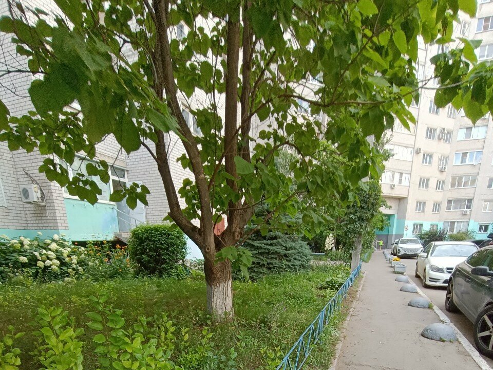 Konut servisleri kuruluşları Upravlyayushchaya Kompaniya Arka, Voronej, foto