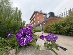 Sweet Home (Tulonskaya Alley No:8), otel  Kronstadt'tan