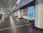 Schwedenplatz (Rotenturmstraße No:24, Wien), toplu taşıma durağı  Viyana'dan