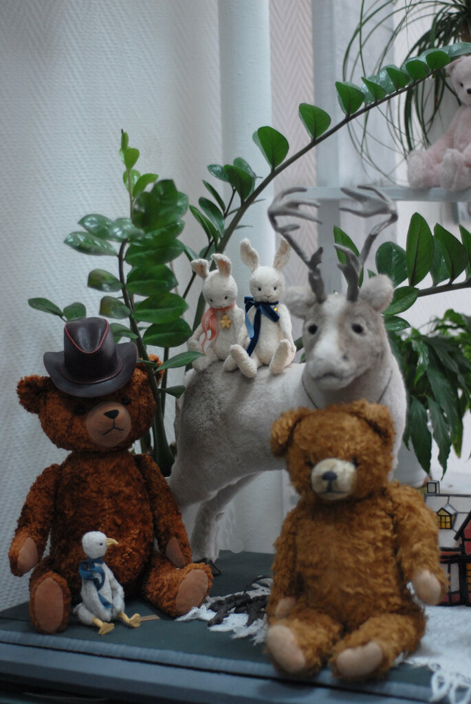 Meslek kursları Teddydom, Tomsk, foto