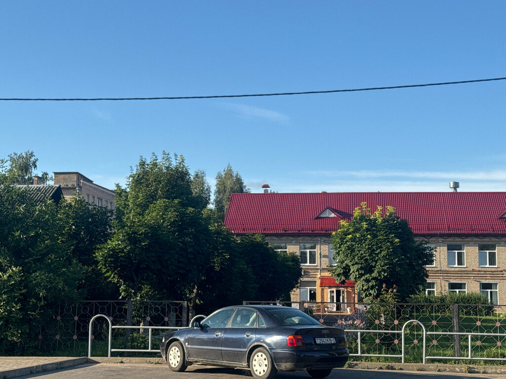 Lise Litsey Professionalny Gosudarstvenny Uo, Dubrovno, foto