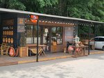 Станция Лесотерапия (Moskovskoye Highway No:14, Vladikavkaz), sosyal rehabilitasyon merkezi  Vladikavkaz'dan