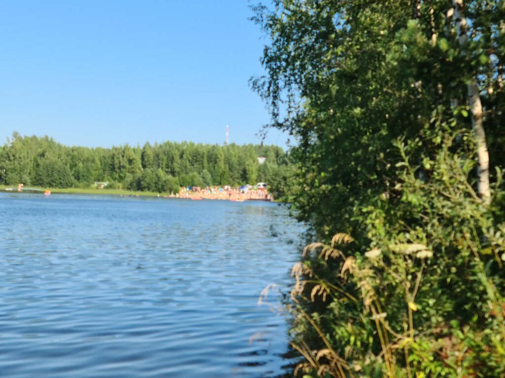 Plaj Пляж, Moskova ve Moskovskaya oblastı, foto
