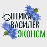 Василёк (Institutskaya ulitsa No:1), optik  Aleksandrov'dan