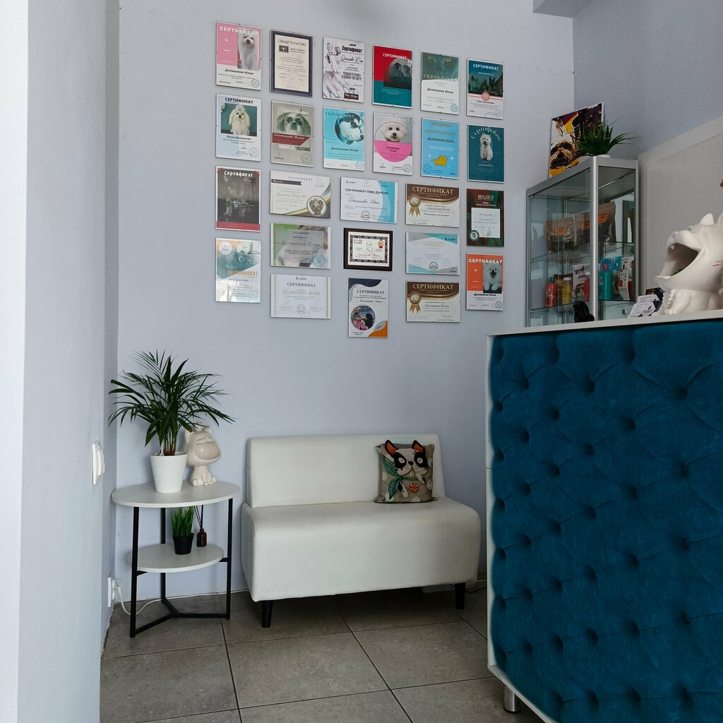 Evcil hayvan kuaförleri Art Grooming Studio, Kursk, foto