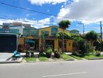Viverocasacolonial (Bogotá, Kennedy, Avenida Calle 8), bahçecilik mağazaları  Bogota'dan