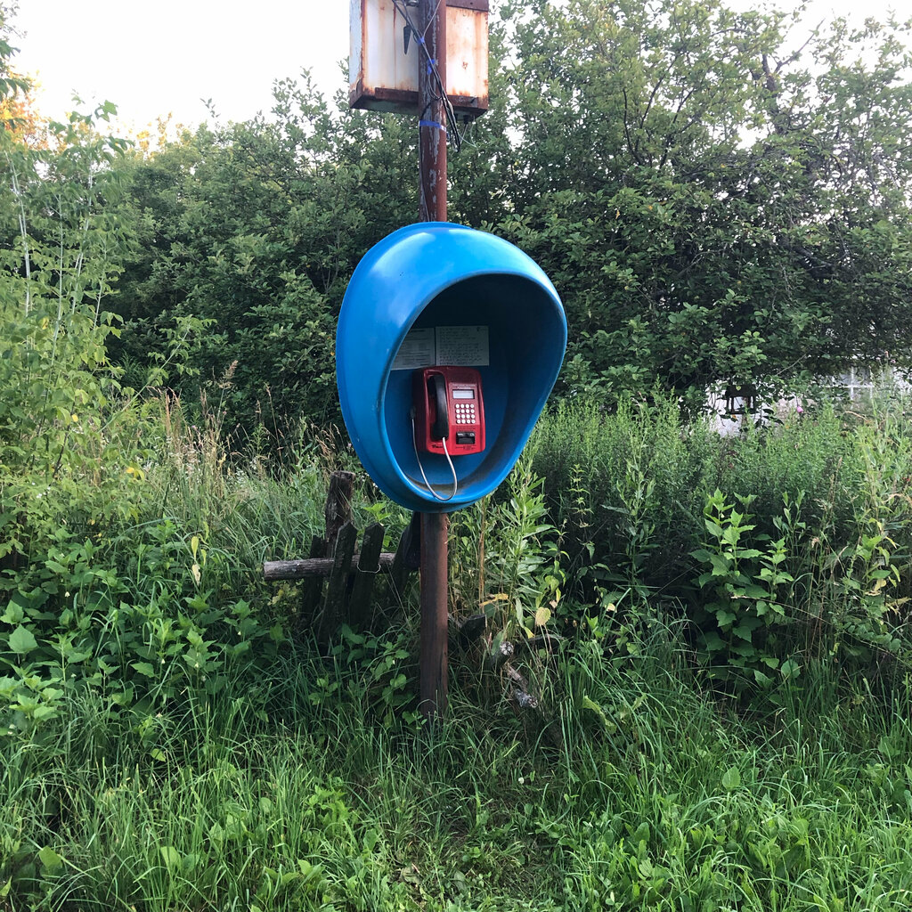 Ankesörlü telefon Таксофон, Riazanskaya oblastı, foto