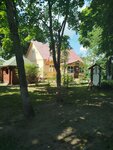 Sinkevichskoye Lesnichestvo GLKhU Luninetsky leskhoz (ulitsa Kulakevicha No:33, Agricultural Settlement of Sinkievichy), devlet kurumları ve bakanlıklar  Brestskaya oblastından