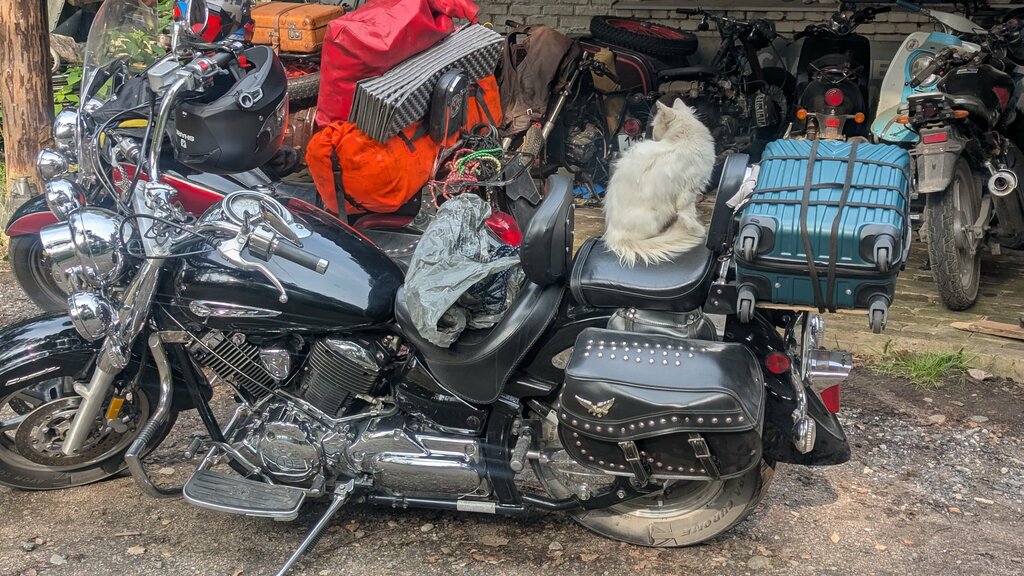 Motosiklet kulübü, motosiklet kulübü Позитивная Механика, Pskov, foto