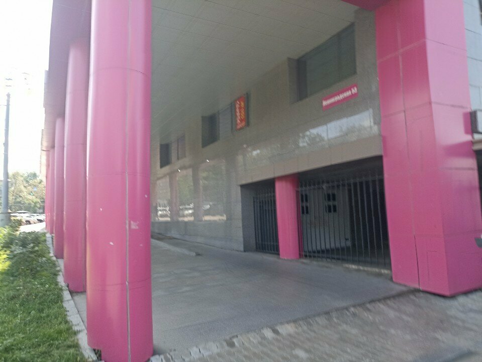 Spor kulüpleri Mechtatkidsclub, Habarovsk, foto