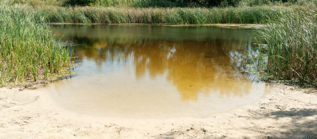 Plaj Пляж, Volgogradskaya oblastı, foto