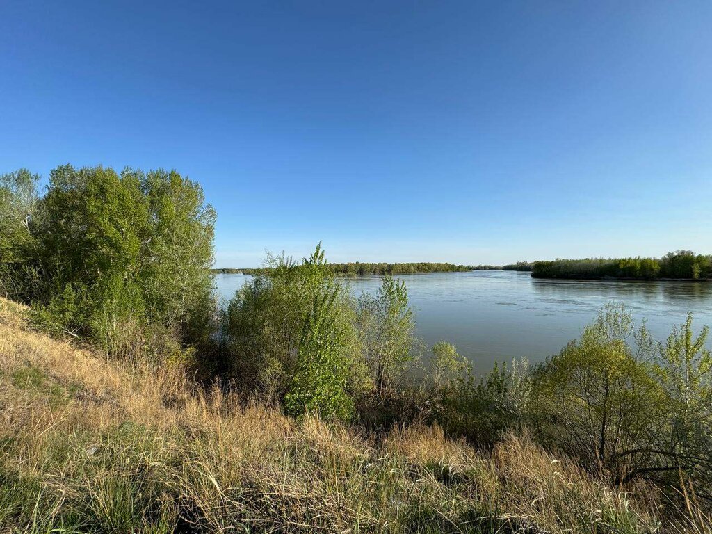 Pınar, çay Holy Spring, Doğu Kazakistan eyaleti, foto