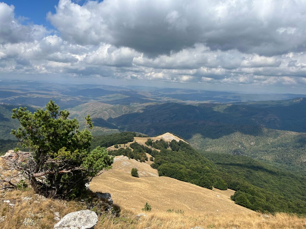 Dağ zirvesi Скала Саурка 1281 метр, Kırım Cumhuriyeti, foto