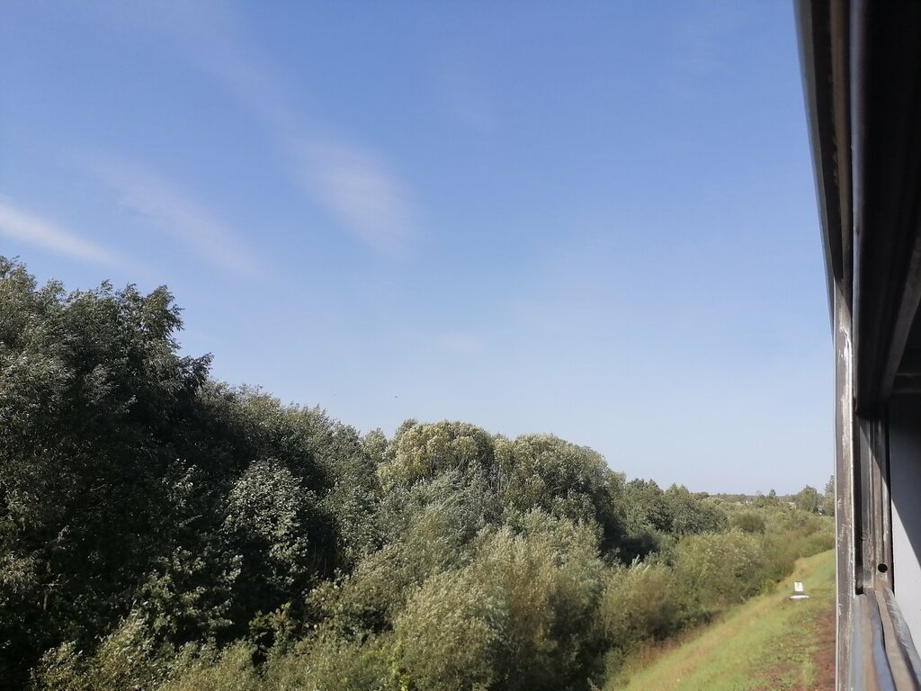 Hayvancılık Слабодка Александрийское, Mogiliovskaya oblastı, foto