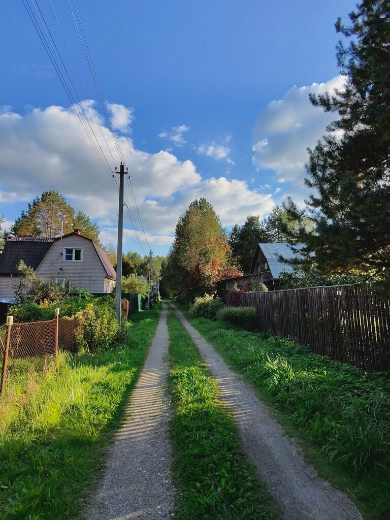 Bahçecilik dernekleri ve kuruluşları Краснопролетарец -2, Moskova ve Moskovskaya oblastı, foto