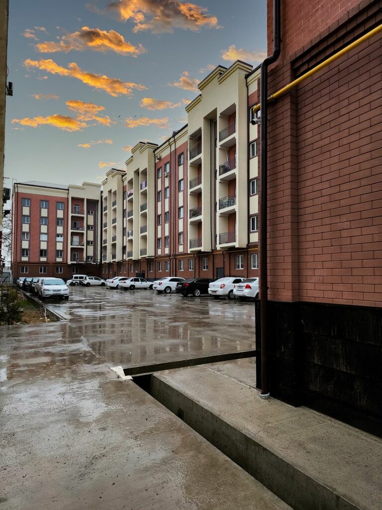 Market Baraka market, Taşkent, foto