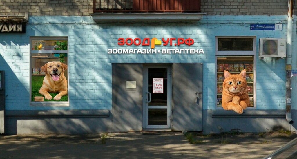 Petshop Зоодруг, Nijni Novgorod, foto